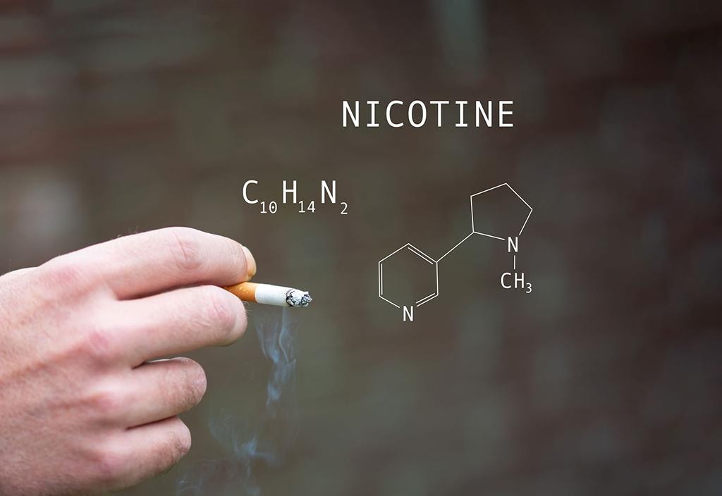 Tác hại của Nicotin tới sức khỏe con người như thế nào?